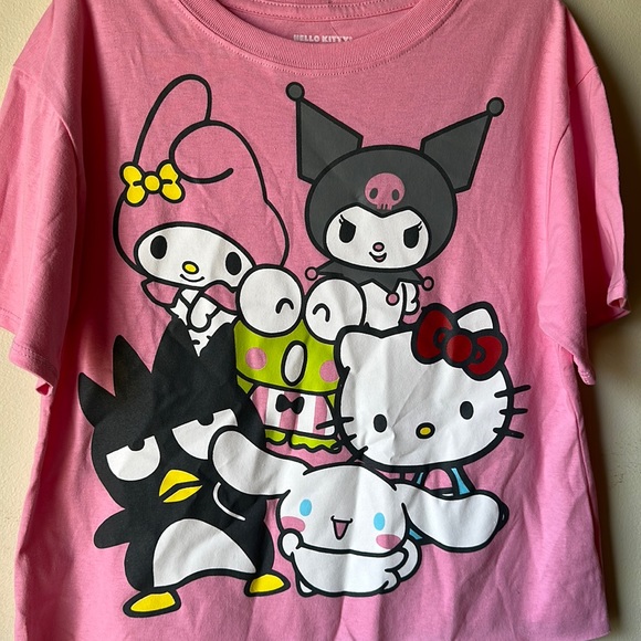 Hello Kitty | Tops | Hello Kitty And Friends Crop Top New | Poshmark